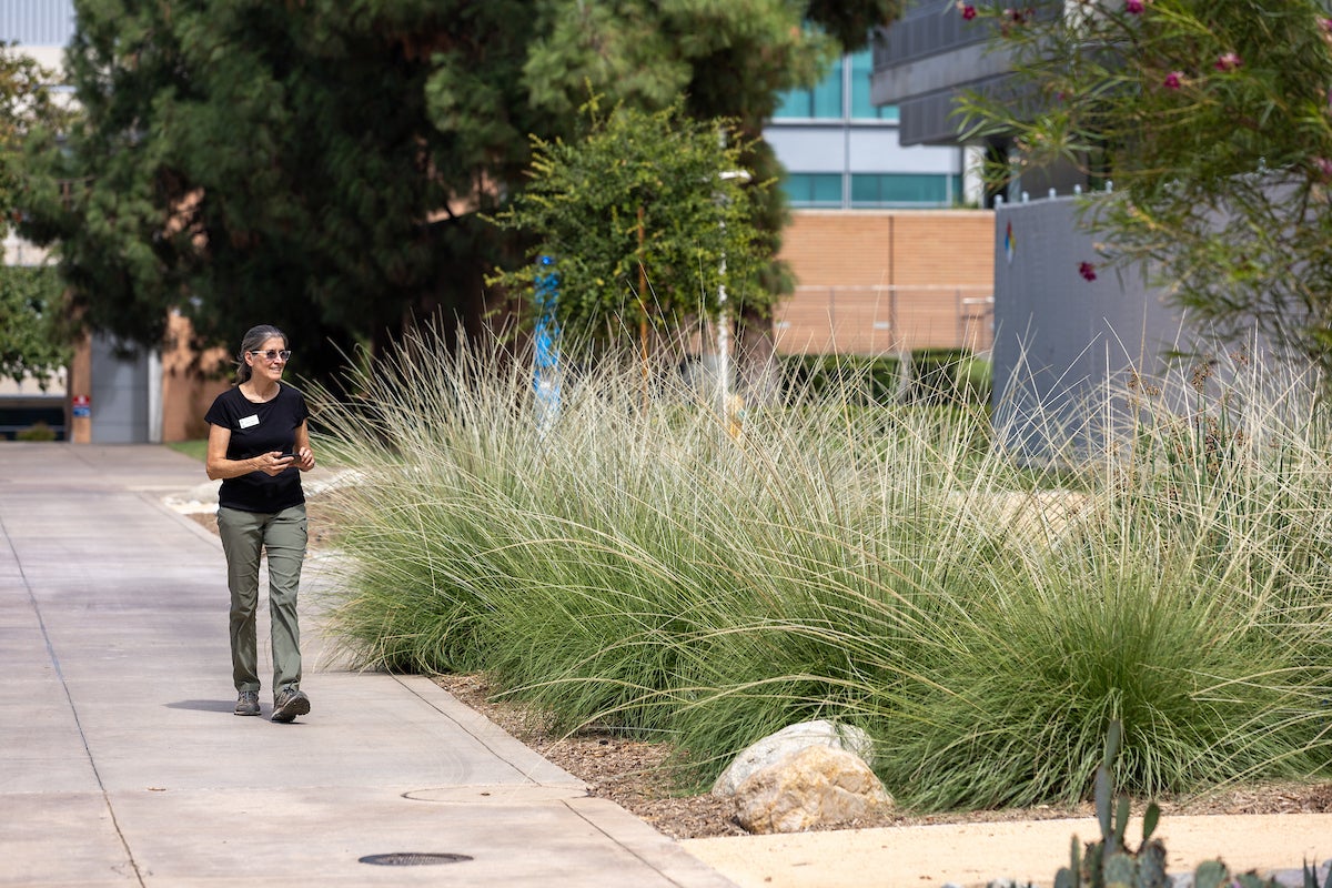 Native American garden opens to campus | Inside UCR | UC Riverside